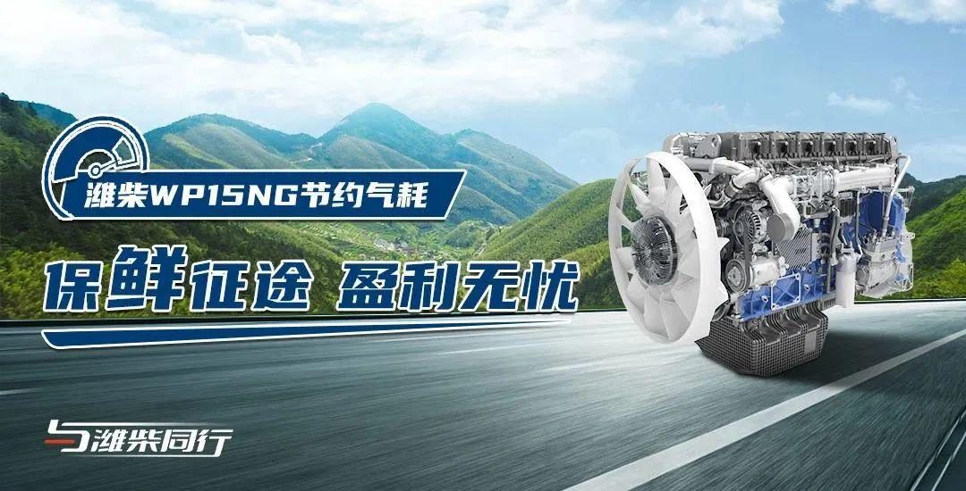 陆地之王｜潍柴WP15NG，让冷链物流“鲜”起来！_搜狐汽车_搜狐网