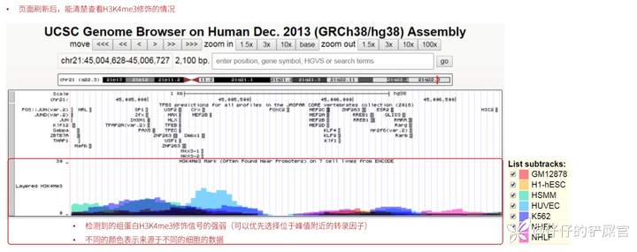 【科研工具包】转录因子预测及优化策略 ——JASPAR、NCBI、UCSC数据库联用_基因_序列_位点