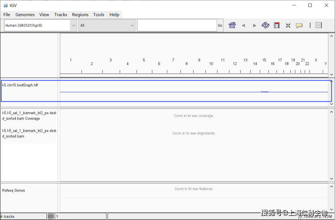 IGV快速上手指南（五）——查看甲基化数据_tdf_文件_BedGraph
