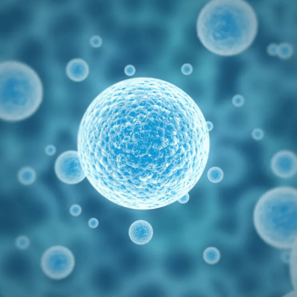 BioSIM人Adnectin-Fc融合蛋白SIM0488：兼具高亲和力靶向性与长效Fc效应功能_实验_alfa_产品