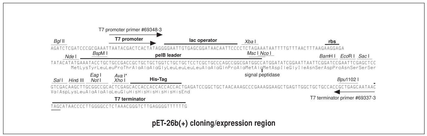 pET-26b(+)载体质粒图谱、序列、说明书、价格