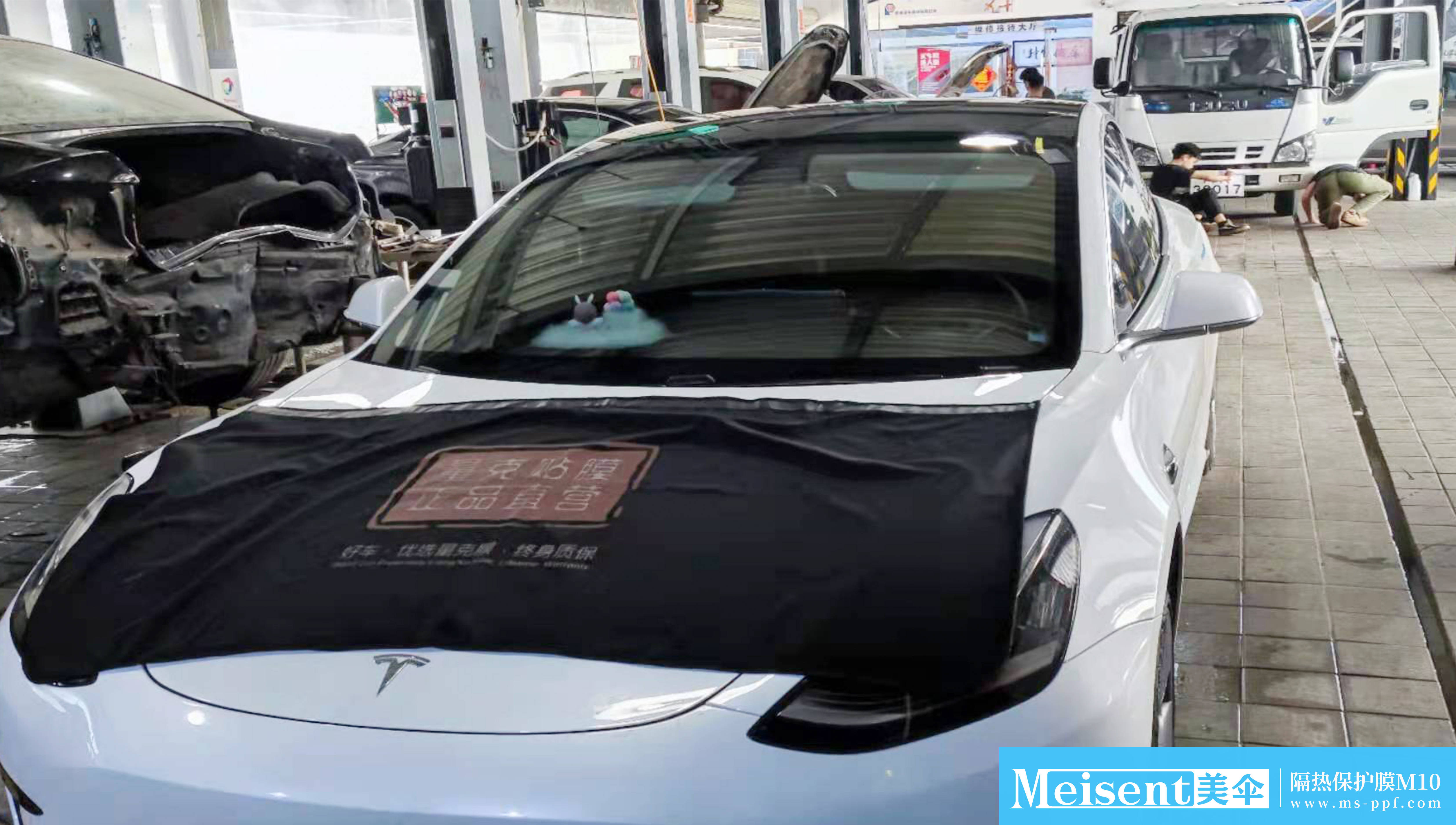 Meisent美伞全功能隔热防爆膜 M10--特斯拉_搜狐汽车_搜狐网
