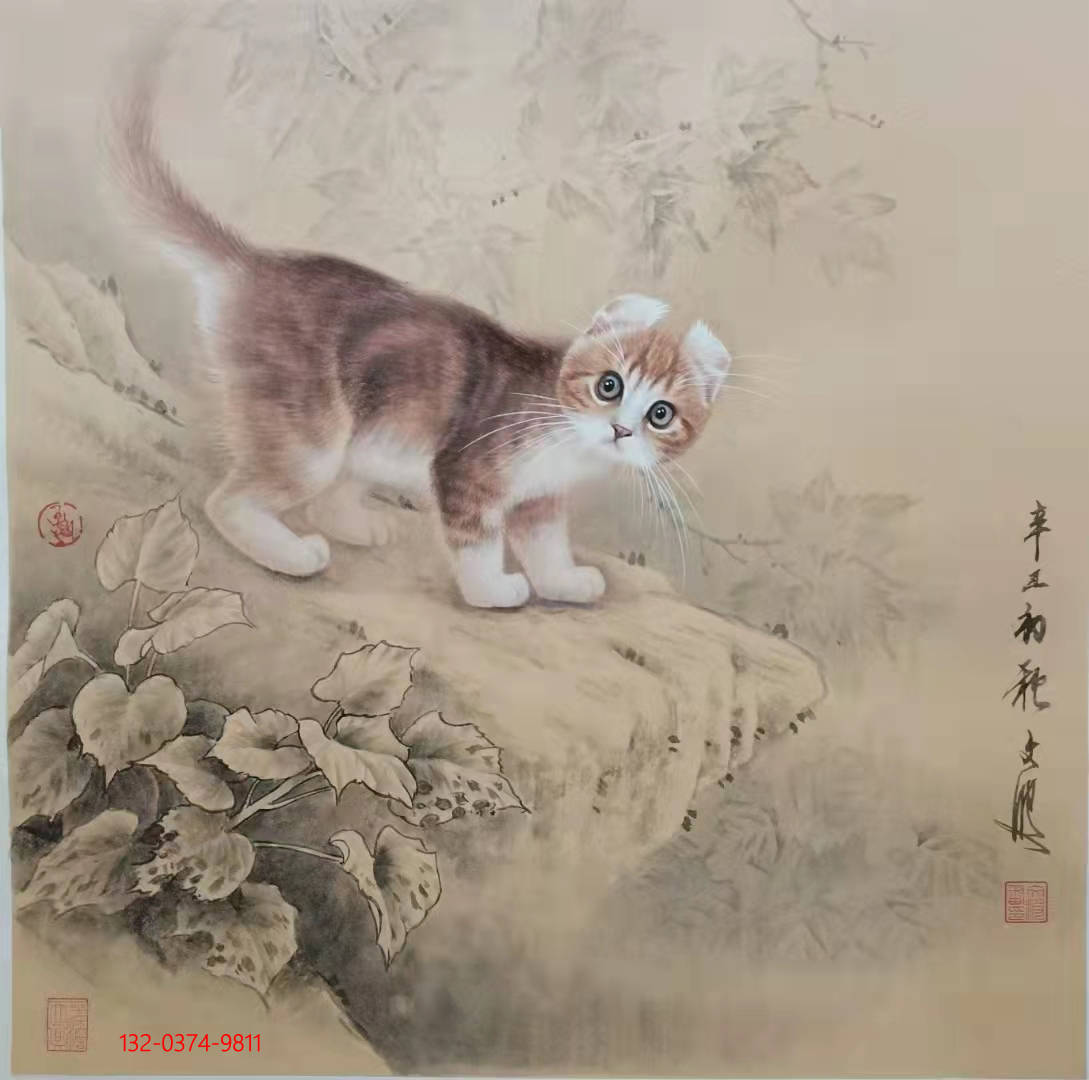 画家王文波国画猫作品集-搜狐大视野-搜狐新闻