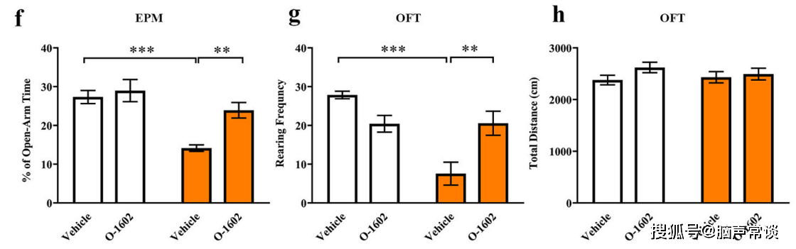 GPR55对CSDS模型小鼠海马神经炎症和成熟神经发生障碍的神经保护作用_白水平_结果显示_蛋白