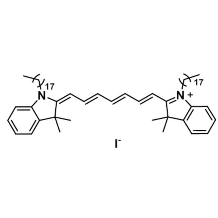 长链的亲脂性二烷基碳菁类染料DiI, DiO, DiD和DiR的作用以及物理特性_荧光_染色_细胞膜