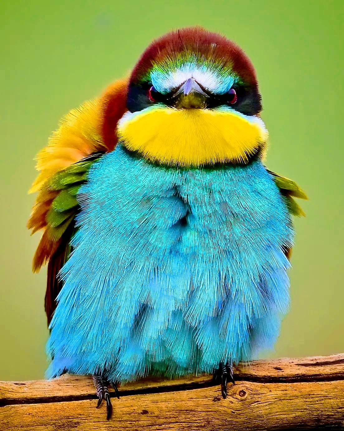 健康美与自然 2022. 0803-搜狐大视野-搜狐新闻