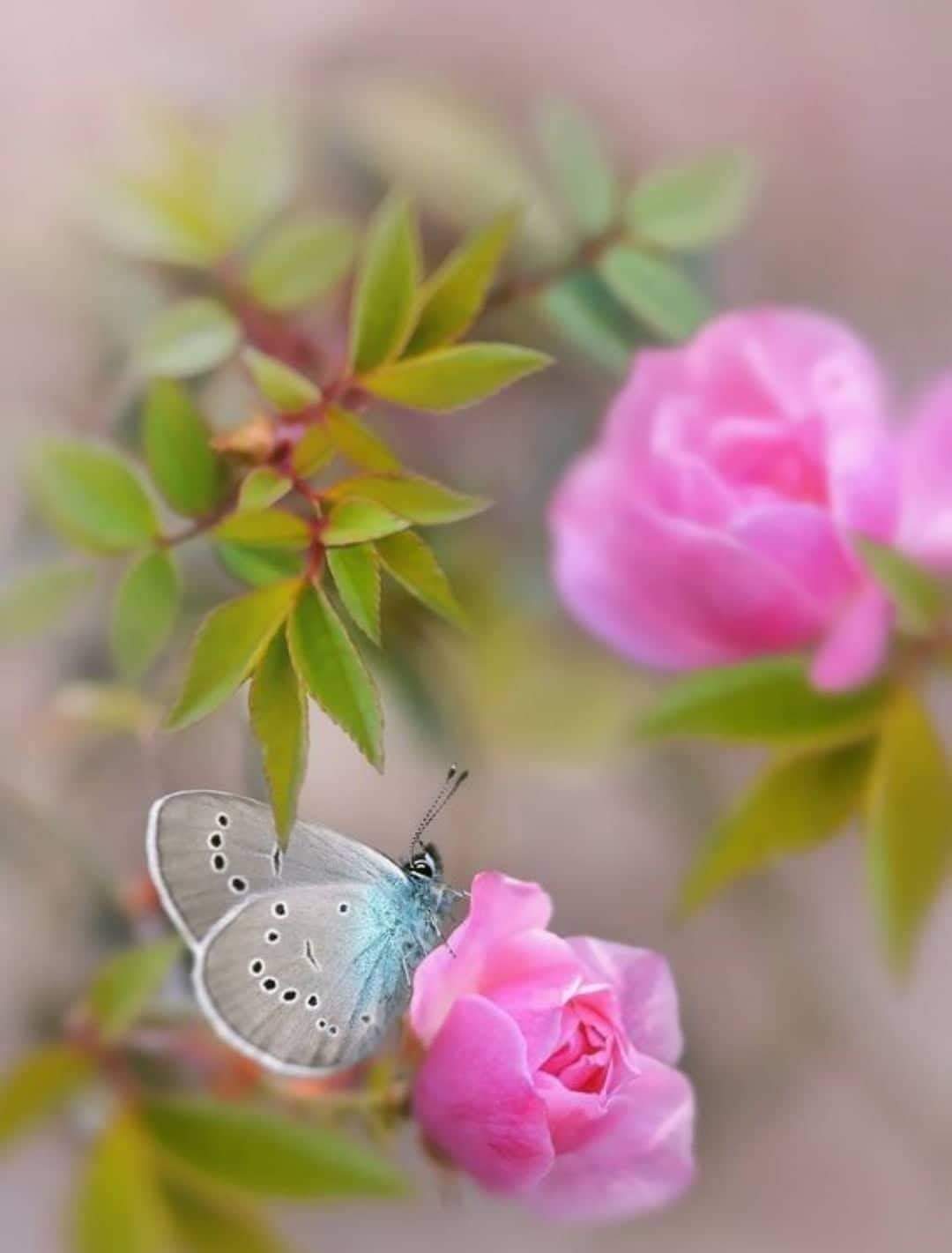 健康美与自然 2022. 0803-搜狐大视野-搜狐新闻