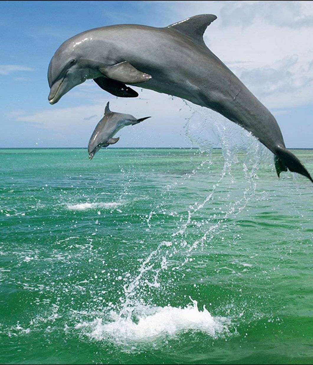 自然之美is good to it 2020. 8. 05-搜狐大视野-搜狐新闻