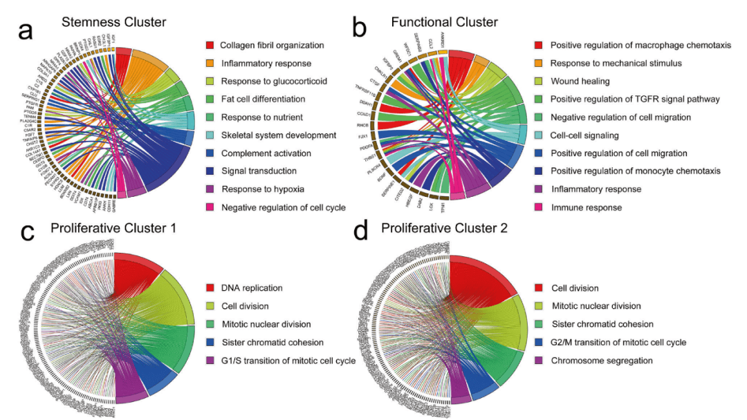 项目文章丨单细胞转录组测序揭示人骨髓间充质干细胞亚群功能_Cluster_研究_进行