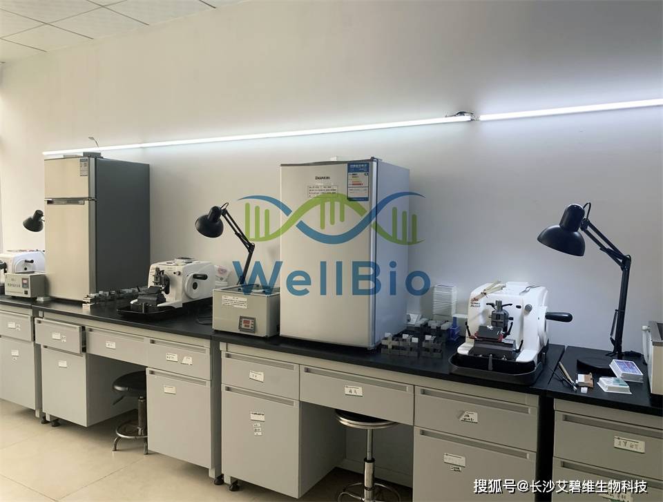 长沙艾碧维（Abiowell）实验室图片--细胞房-搜狐大视野-搜狐新闻