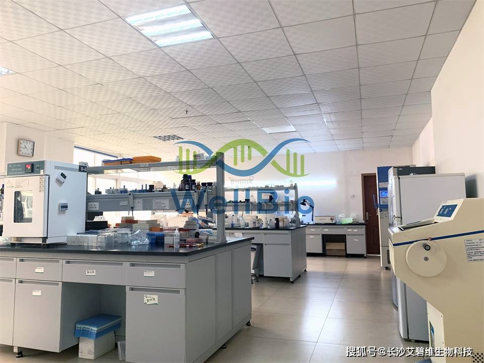 长沙艾碧维（Abiowell）实验室图片--细胞房-搜狐大视野-搜狐新闻