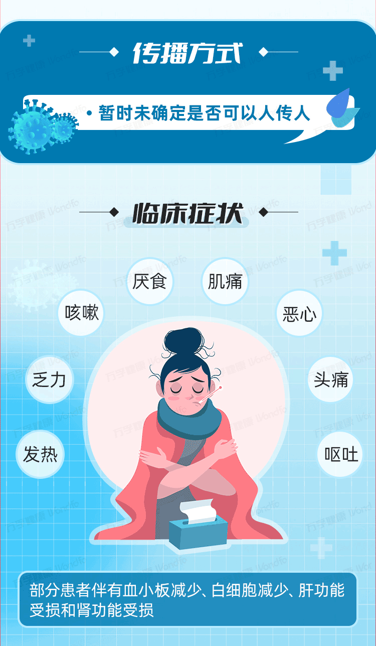 Langya病毒究竟是什么？一图带你解读-搜狐大视野-搜狐新闻