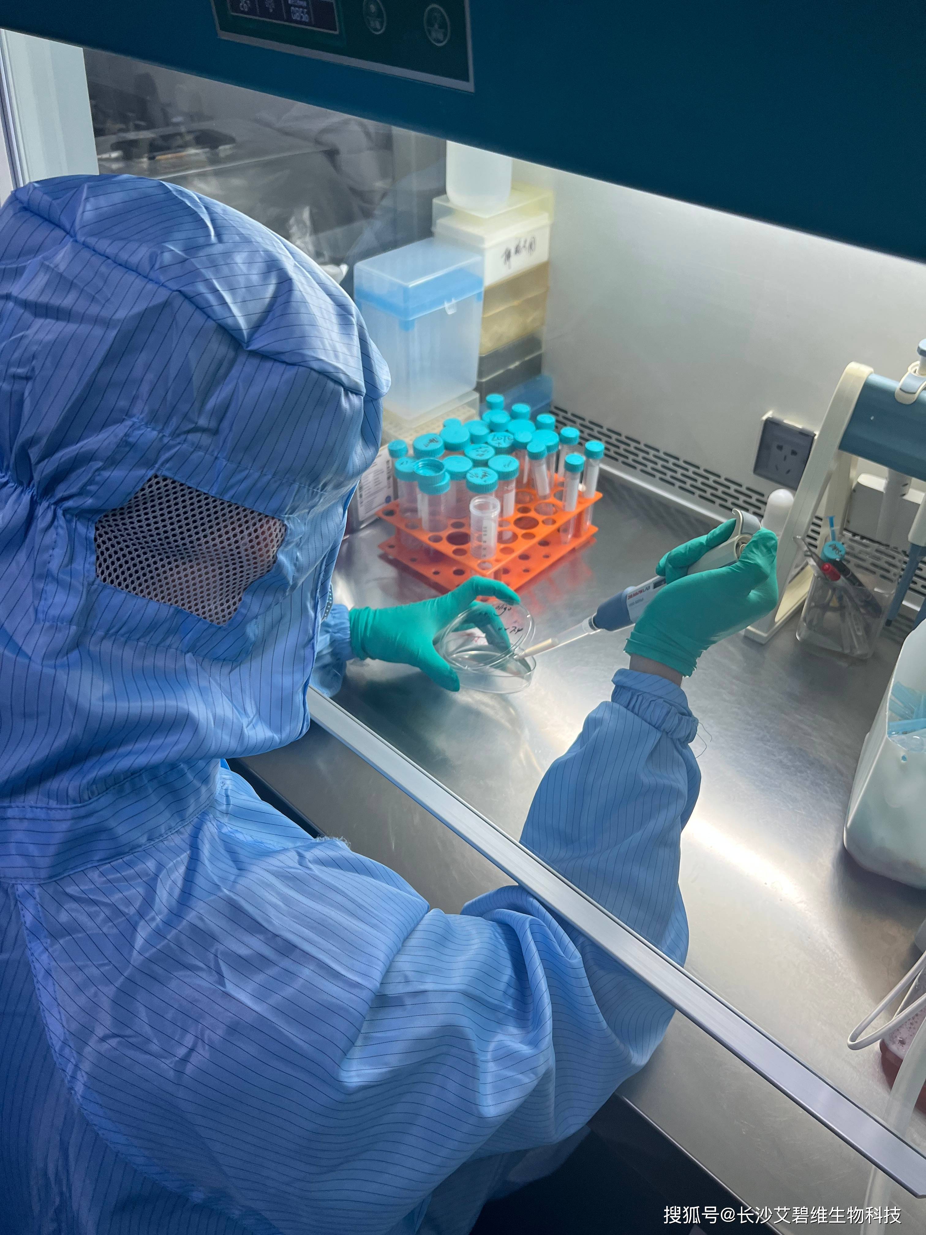 长沙艾碧维（Abiowell）实验室图片--细胞房-搜狐大视野-搜狐新闻
