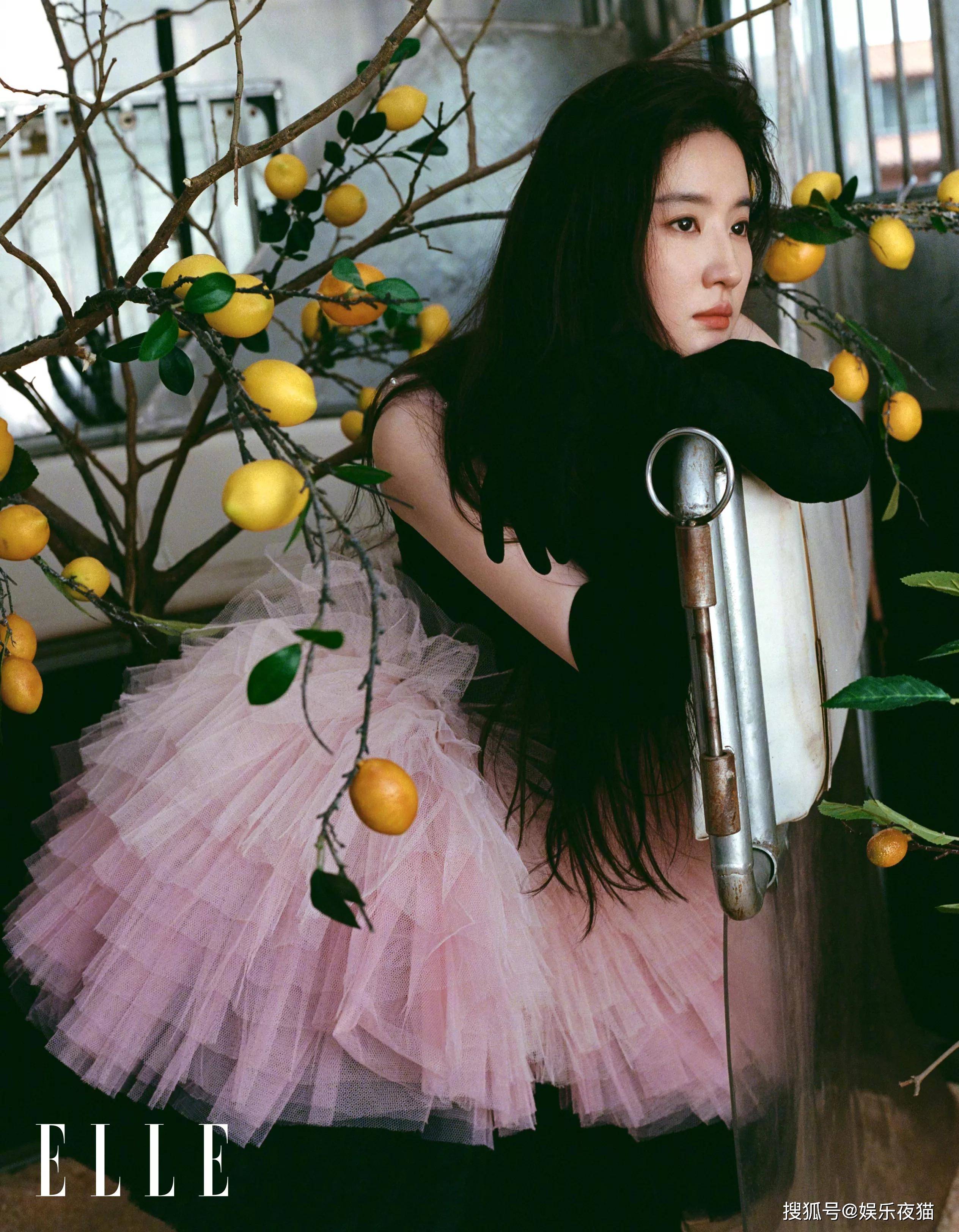 刘亦菲《elle》九月刊封面大片摩登时尚妩媚优雅 搜狐大视野 搜狐新闻
