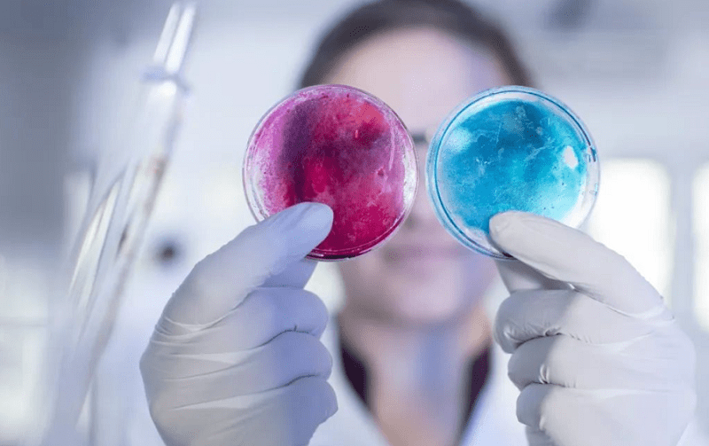 SGS通标公司为IVD行业翘楚中翰生物颁发MDSAP证书_企业_市场_产品