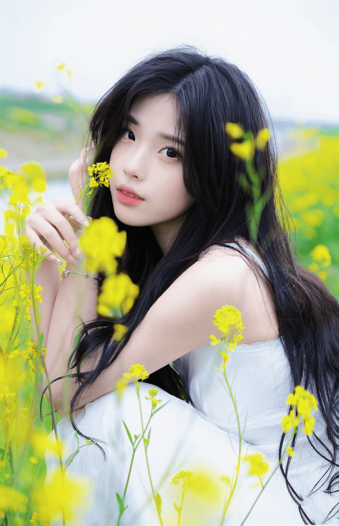 故事的小黄花 -6park.com