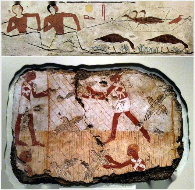 「硬核看文物」从3500年前的祭堂壁画看古埃及社会生活中的鹅-搜狐大视野-搜狐新闻