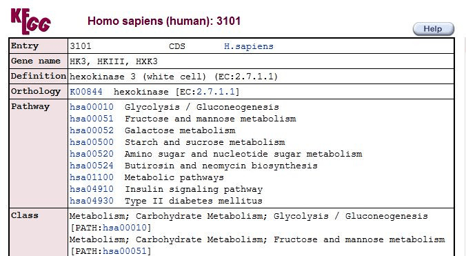 KEGG数据库的使用方法与介绍_代谢