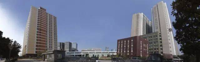 中肿药物临床试验SAE/SUSAR/DSUR报告机构的标准操作规程_安全性