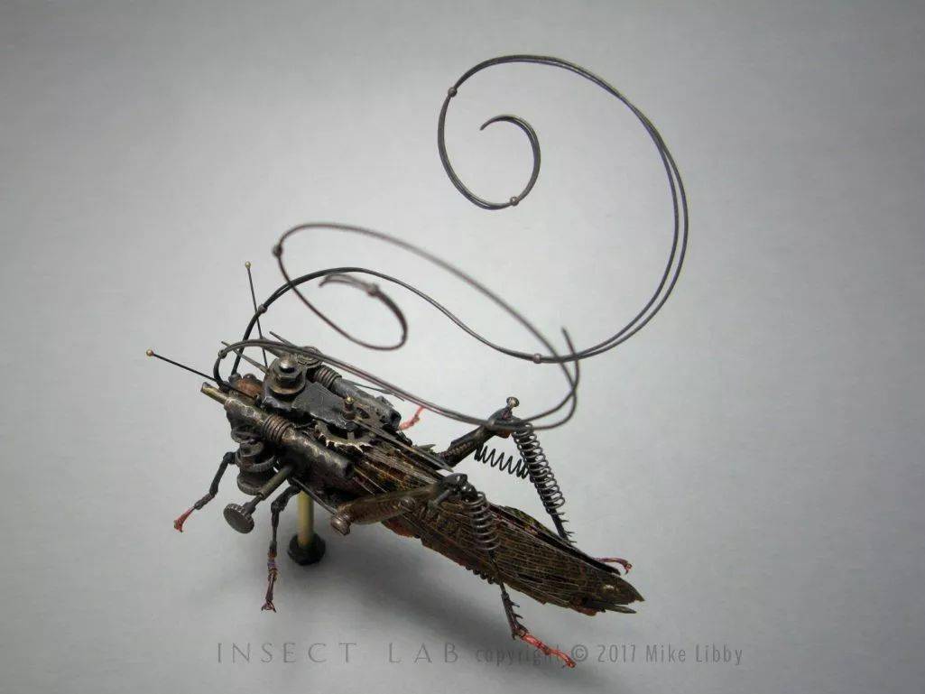 机械昆虫艺术家 Mike Libby-搜狐大视野-搜狐新闻