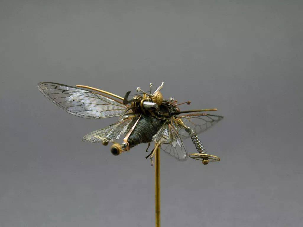 机械昆虫艺术家 Mike Libby-搜狐大视野-搜狐新闻