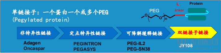 康源久远：突破PEG双链接子技术壁垒，双抗ADC、“三抗”登上精准免疫治疗舞台_药物