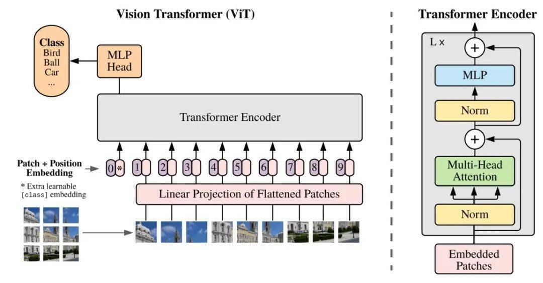 NLP/CV模型跨界进行到底，视觉Transformer要赶超CNN?_训练