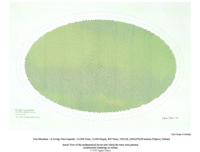Agnes Denes | 理性的终极浪漫_种植