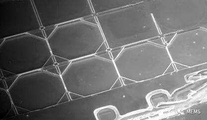 Butterfly公司通过Butterfly iQ+重塑超声波医学成像应用_医疗系统