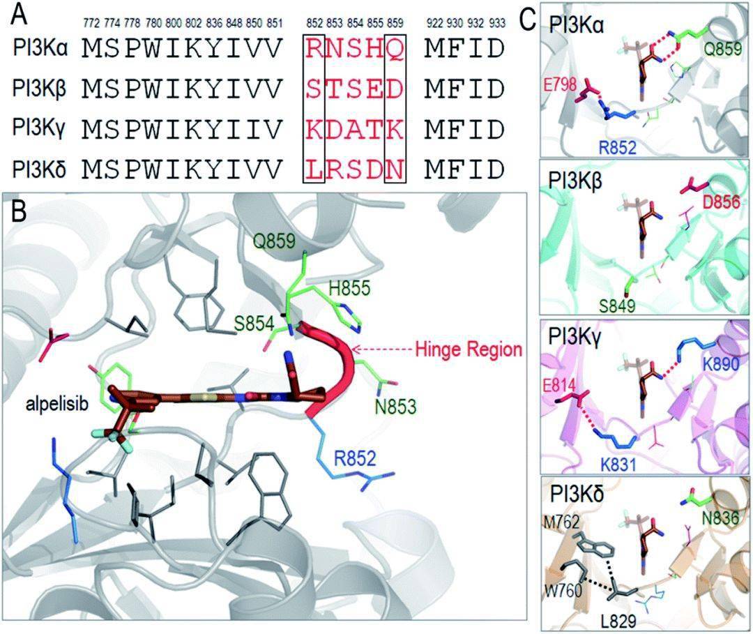 PI3Kα抑制剂的研发进展与反思_药物