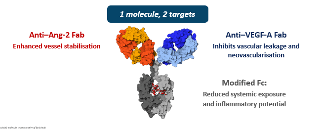 重磅——罗氏眼科双抗药物Faricimab全球III期试验达到主要终点_治疗