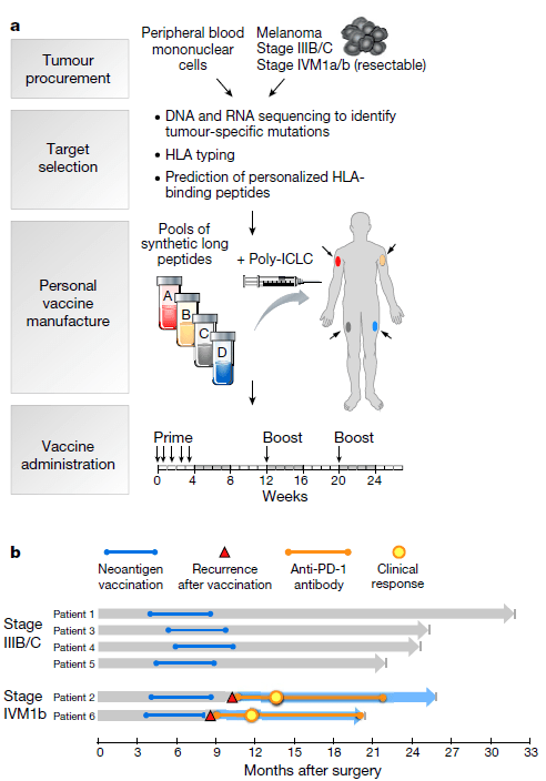 未来已来：肿瘤新抗原疫苗_NeoVax