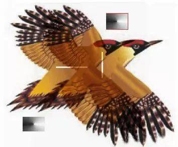 行为视光学诊所必备利器-VTS4_训练