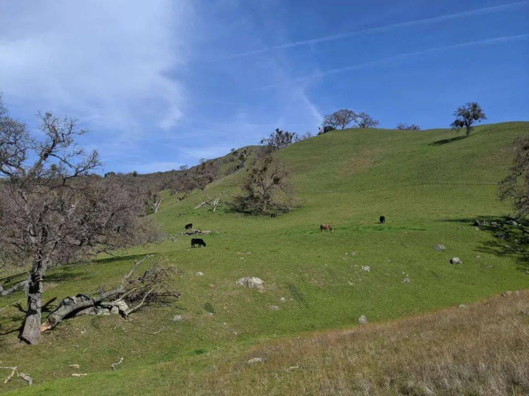 带娃去踏青 推荐“湾区优胜美地”之称的Sunol Regional公园-搜狐大视野-搜狐新闻