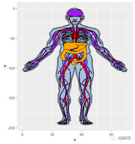 画人画鼠画细胞，精美的生信解剖图送给大家_器官