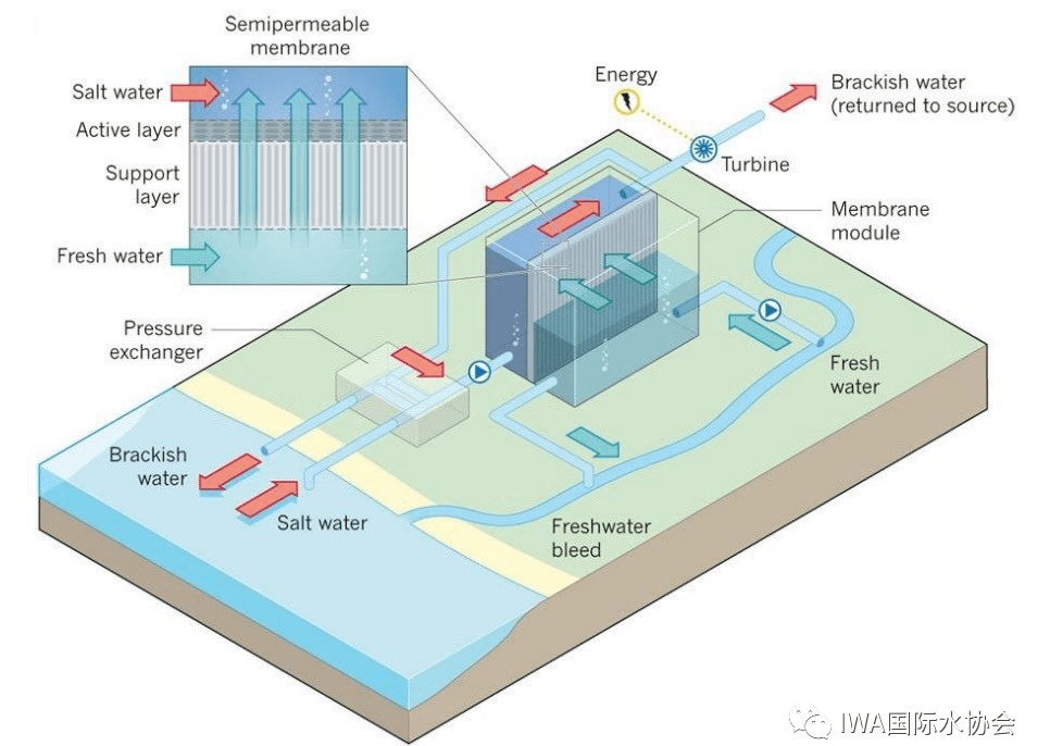 斯坦福科学家发明污水产能新技术--混合污水与海水回收电能_电池