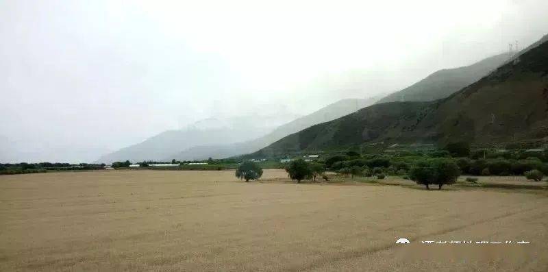 【专题研究】高考热点问题——河谷农业,绿洲农业、灌溉农业和河谷农业的区别 地区