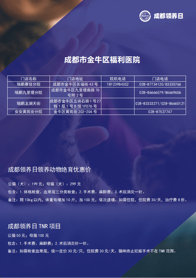 成都领养日医疗福利 | TNR绝育100/50，治疗8折，助力流浪动物救助！_安安