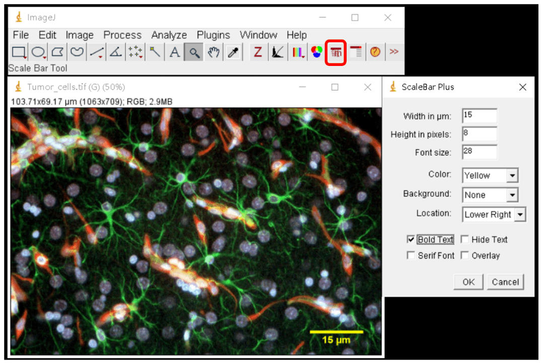 老司机带你使用ImageJ高效分析图片_tools