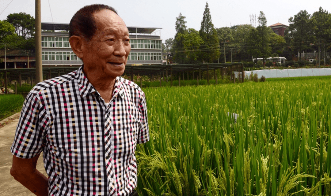 Weekly review | Stories in China (with audio)_'Father