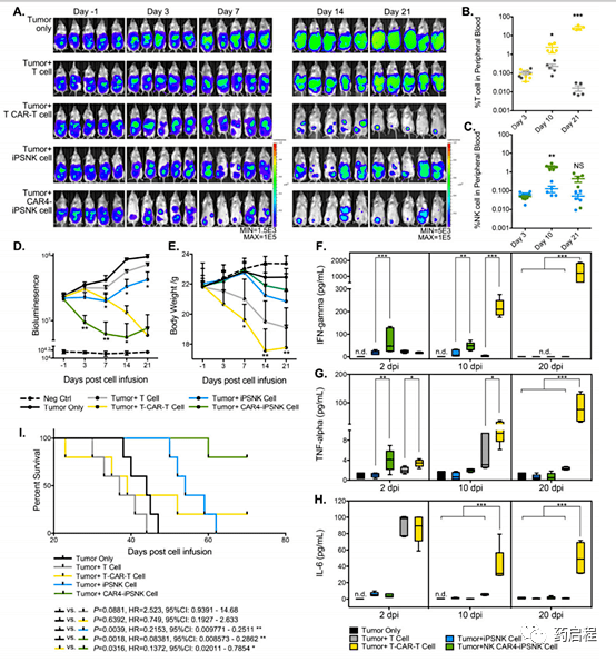 iPSC衍生的CAR-NK的抗肿瘤功能_细胞
