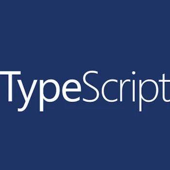 TypeScript 高级类型入门手册：附大量代码实例（收藏！）_'test'