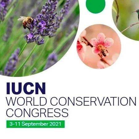 世界自然保护大会使用会务APP | 绿会IUCN-WCC代表团绿会指数观察：GMI案例_马赛