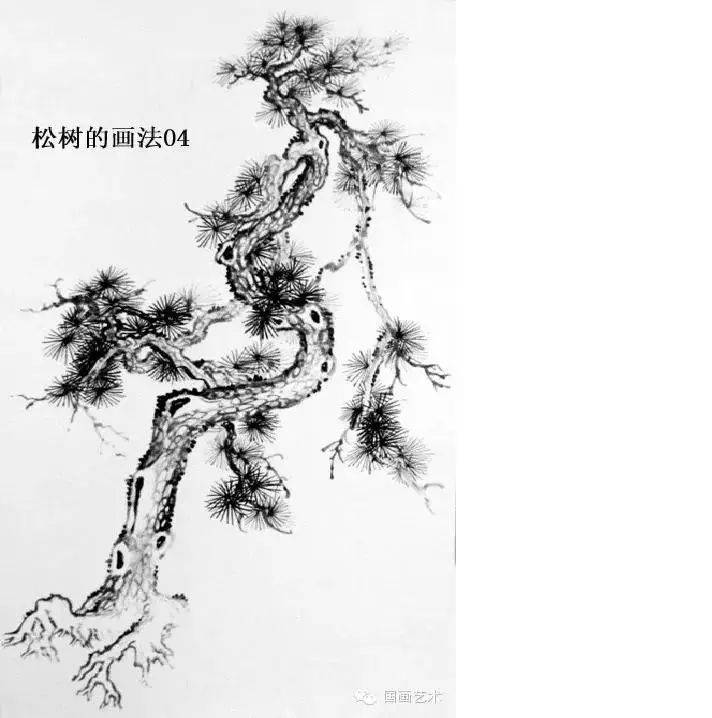 【图文示范教程】松树的画法_松针