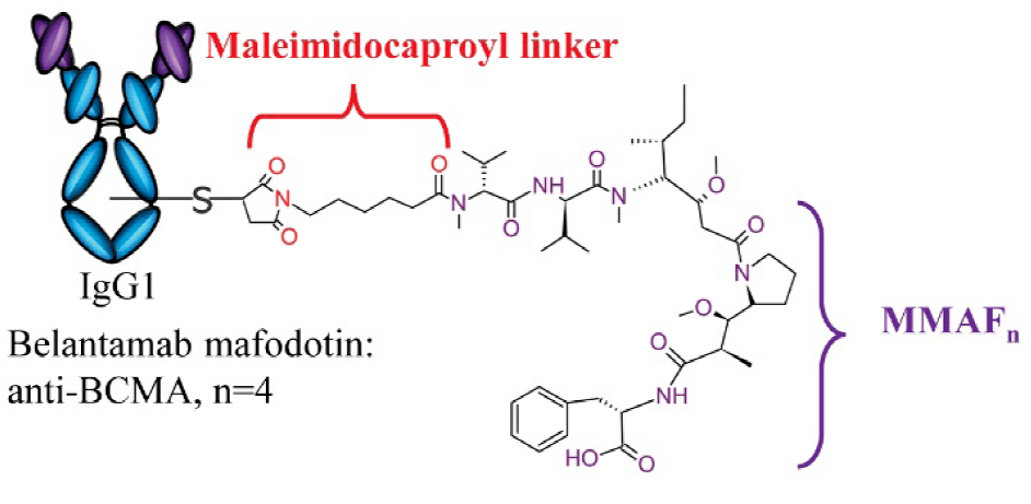 一文读懂全球已批准的14款ADC药物及偶联技术_化疗
