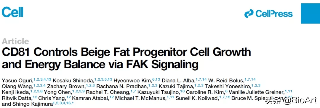 单细胞测序助力找到米色脂肪祖细胞新型标志物—CD81_研究