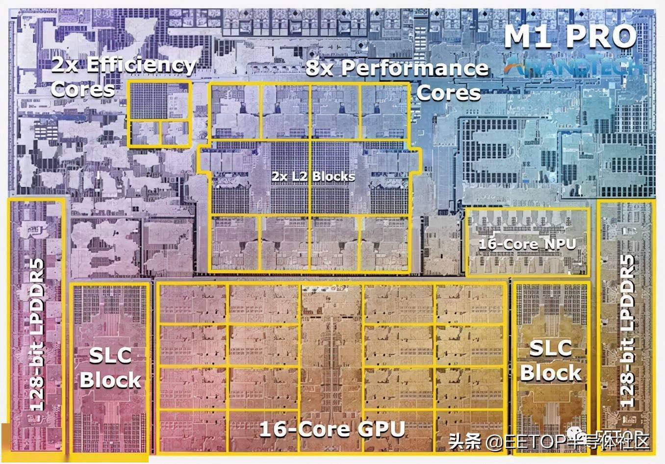 苹果发布最大最强CPU!570亿晶体管 性能数倍于M1,英特尔全线被吊打_Pro
