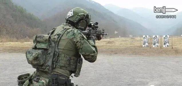 韩国陆军K2C1新型突击步枪，一支“改出来”的新型步枪_枪托_皮卡汀_美国