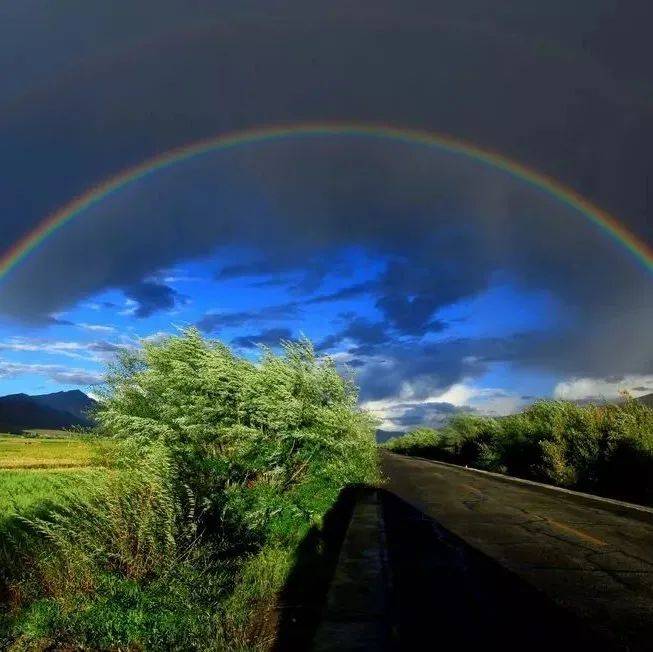 那洛巴大师传！（ 之11 ）_月光_国王_作品