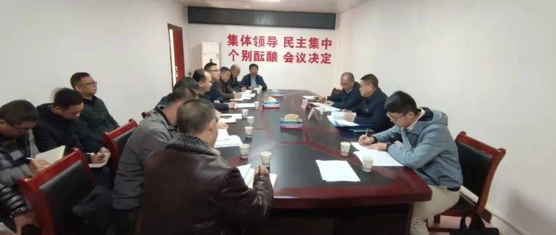 市委副书记杨安队到必背镇调研乡村振兴工作 资源 情况 大村